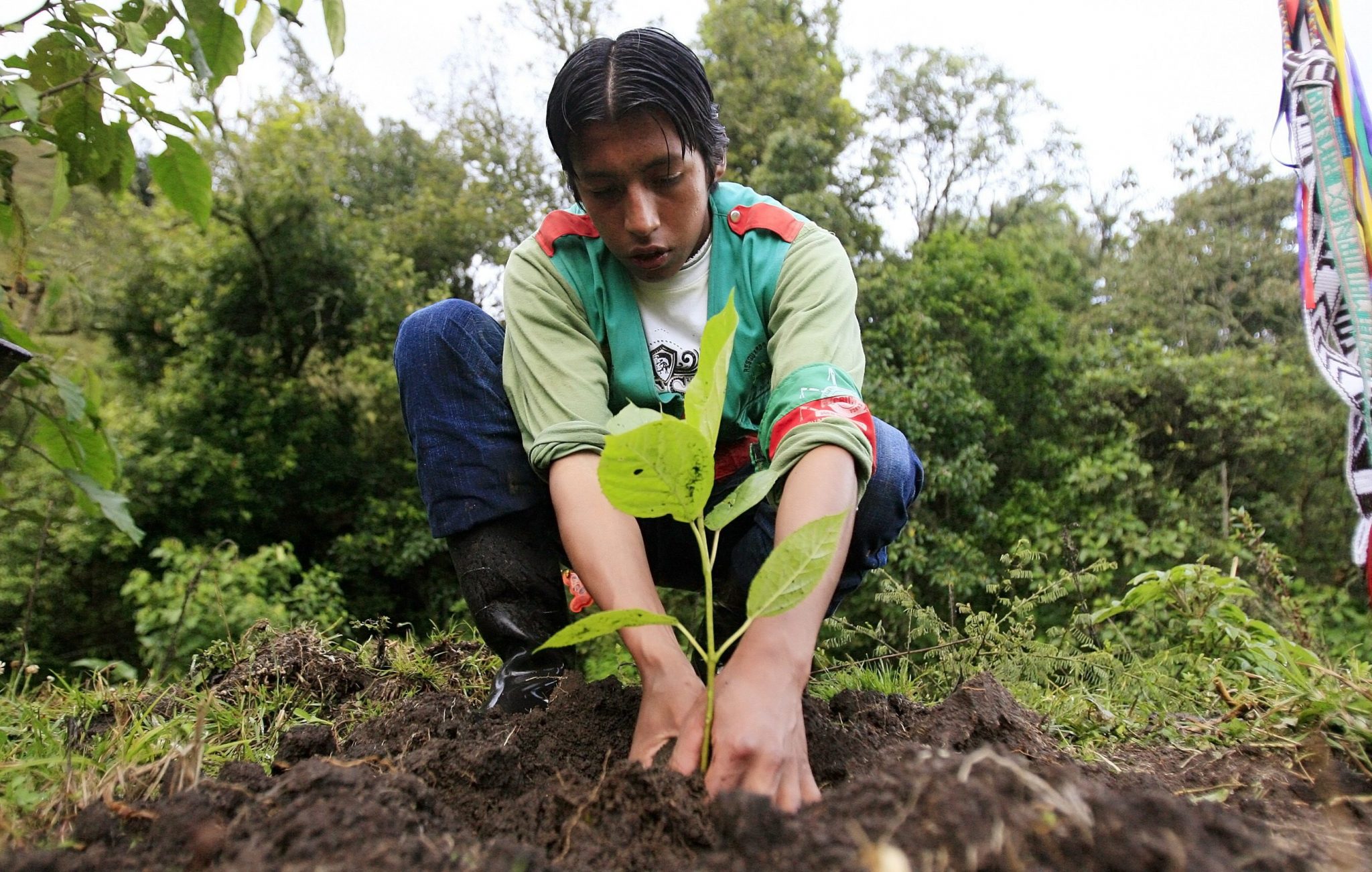 Los pueblos indígenas,"guardianes de la naturaleza"